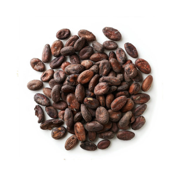 Cocoa Beans | Buy bulk cocoa beans | TinkerandBell